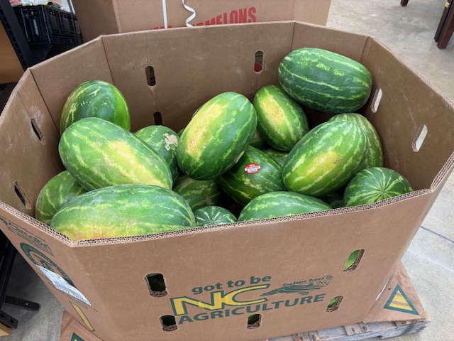 Searching for a Ripe Watermelon | N.C. Cooperative Extension